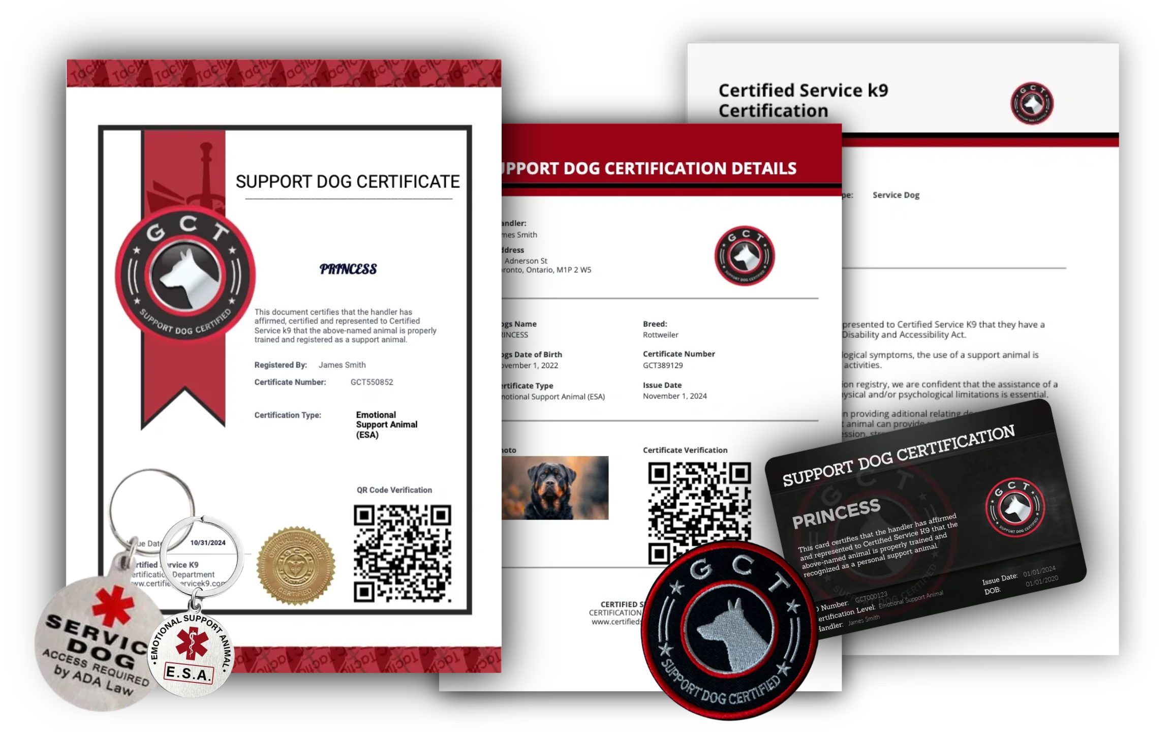 Service Dog Package - GCTactical